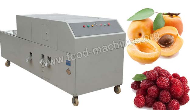 Fruit Pitting Machine - China fruit pitting machine - Exportimes